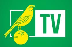 Canaries TV Commentators & Stats - ICDb